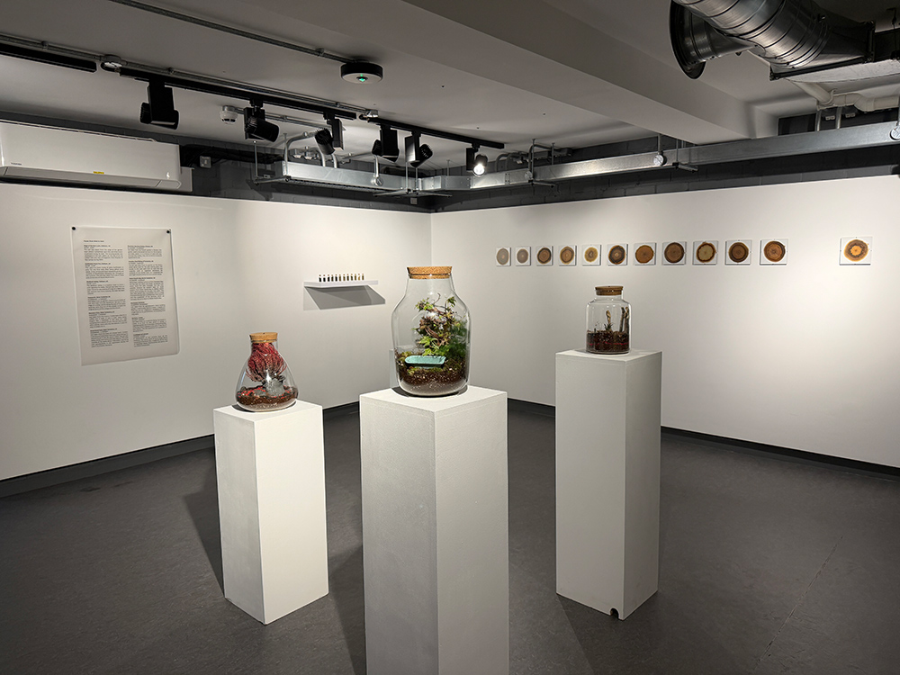 Cultures of Climate Exhibition at the Sovereign Design House ...