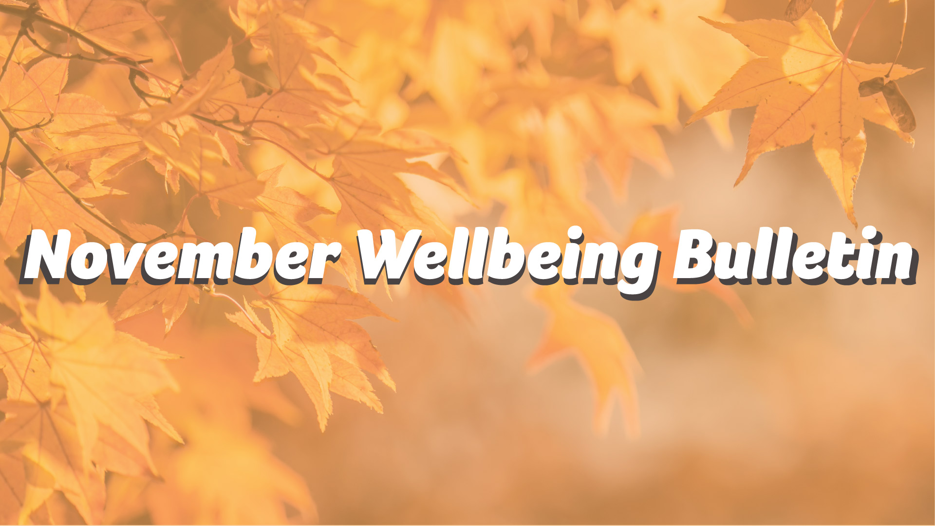 WELLBEING: November Staff Bulletin - University of Huddersfield