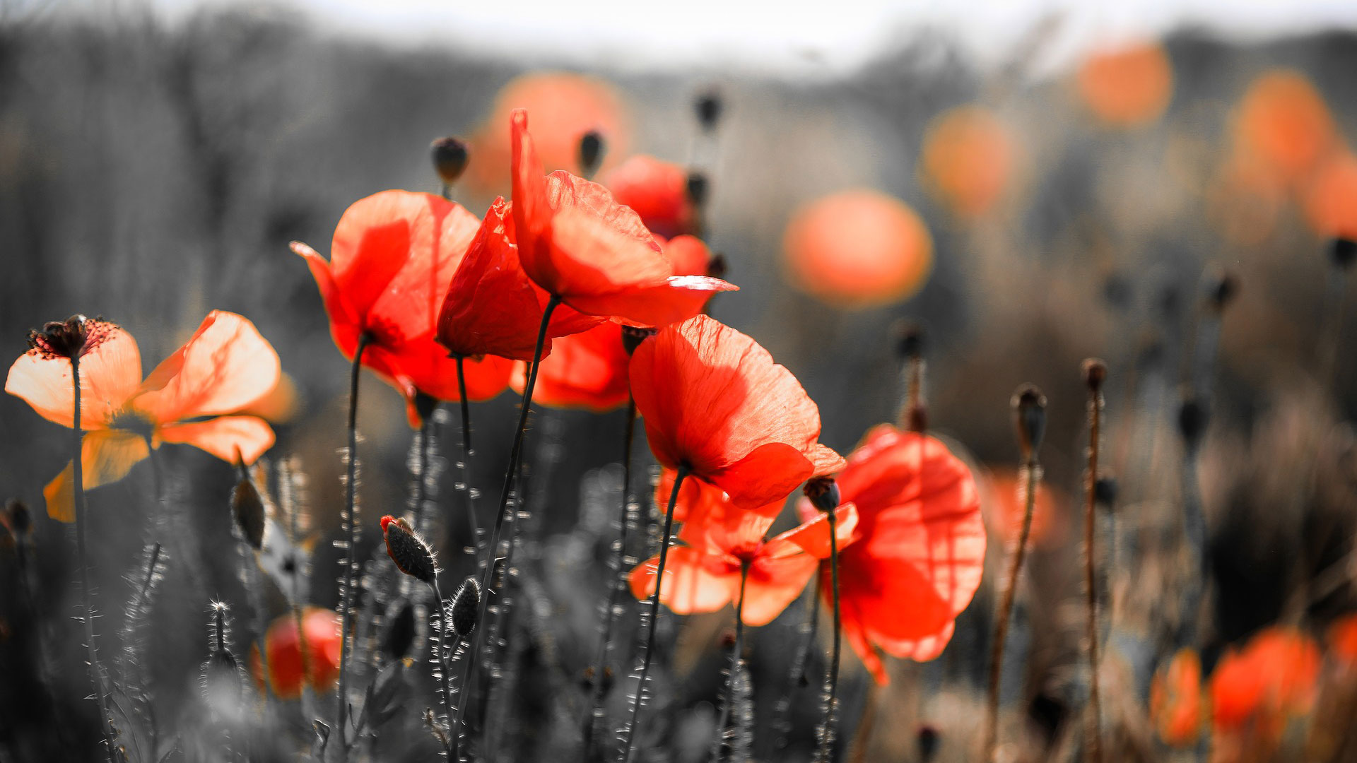 Two-minute silence during the Awards Ceremonies - University of ...