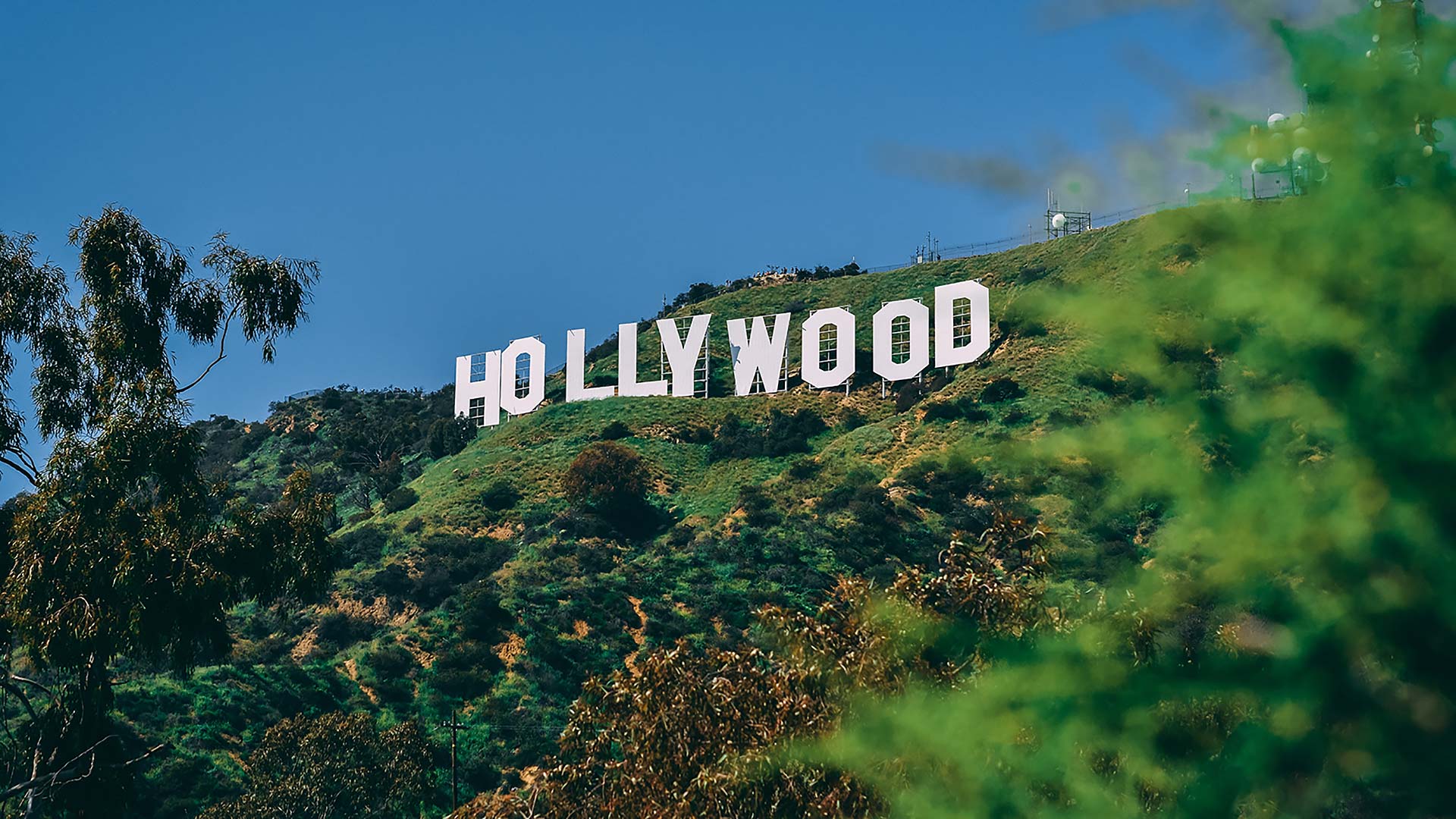 Hollywood’s million dollar gender pay gap – revealed - University of ...