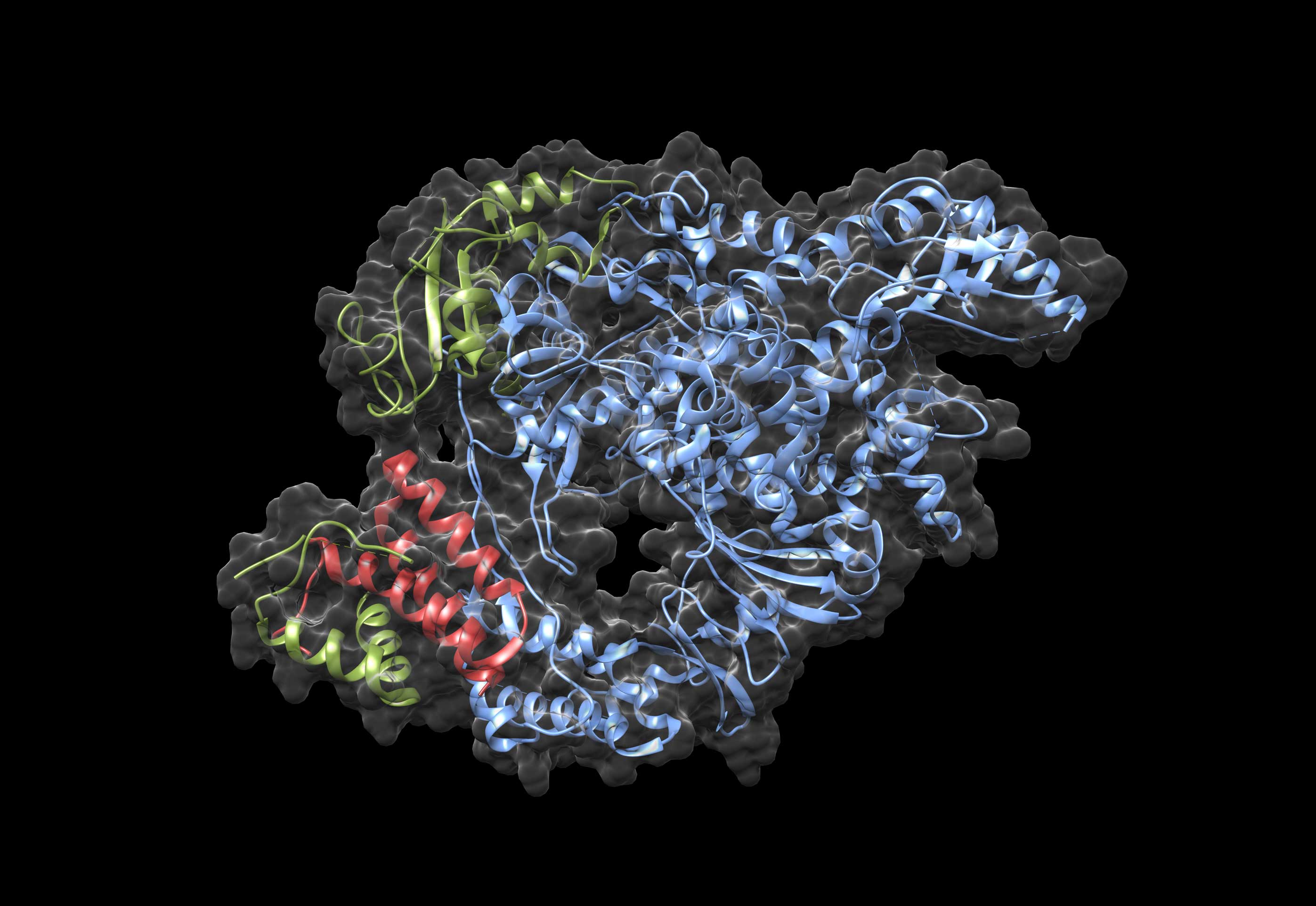 Scientists get to grips with COVID-19 - University of Huddersfield