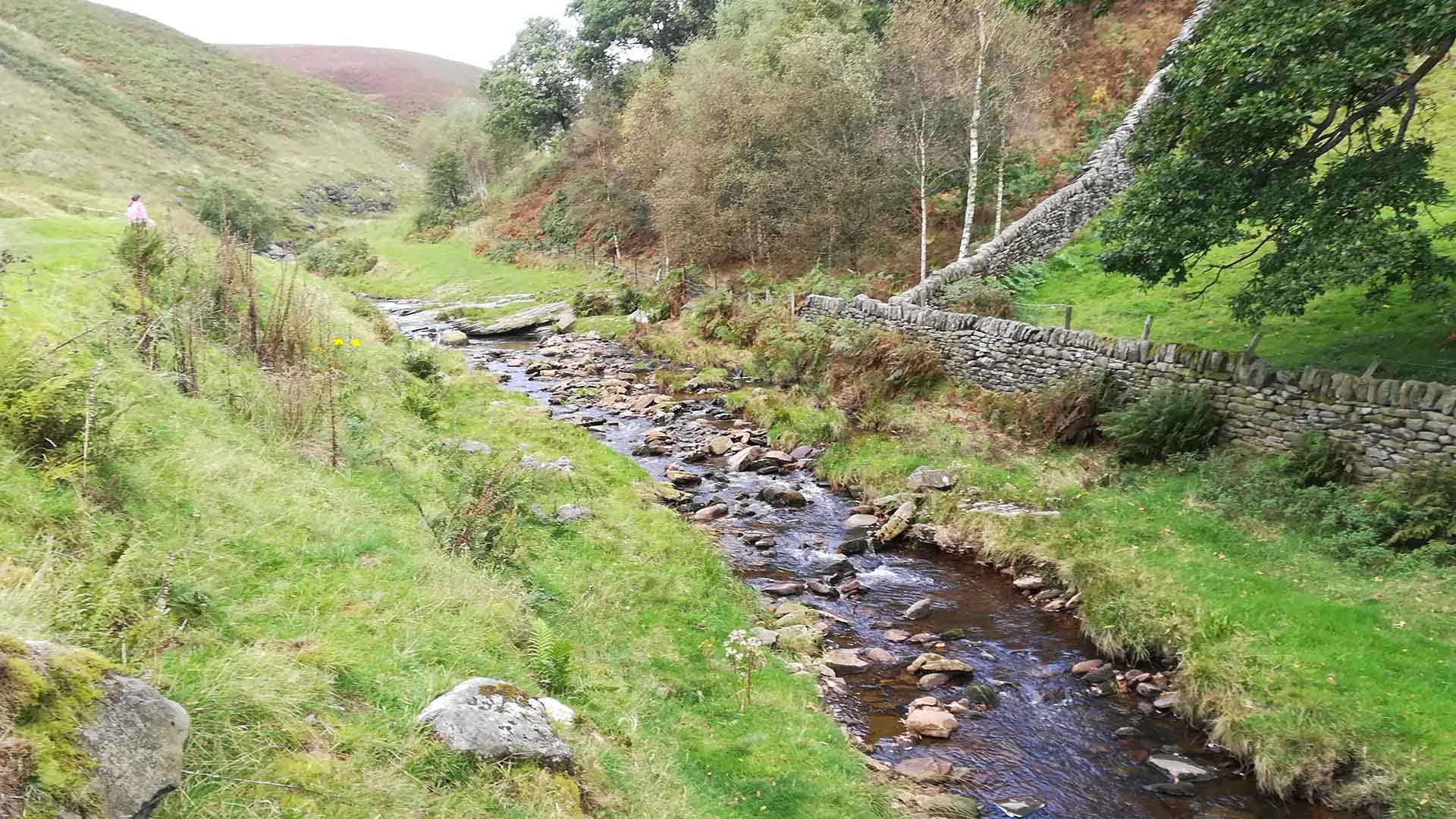 New PhD to help on local river and peatland restoration project ...