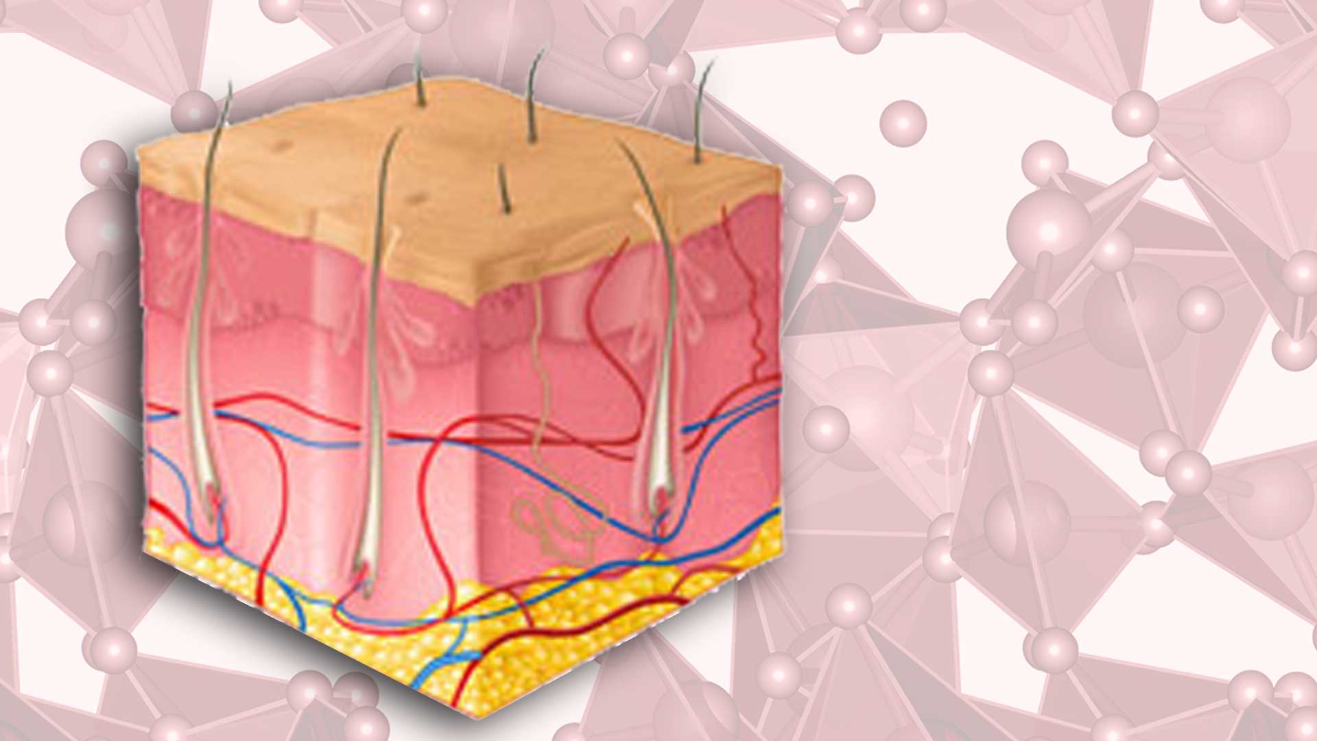 The Institute of Skin Integrity and Infection Prevention - University ...