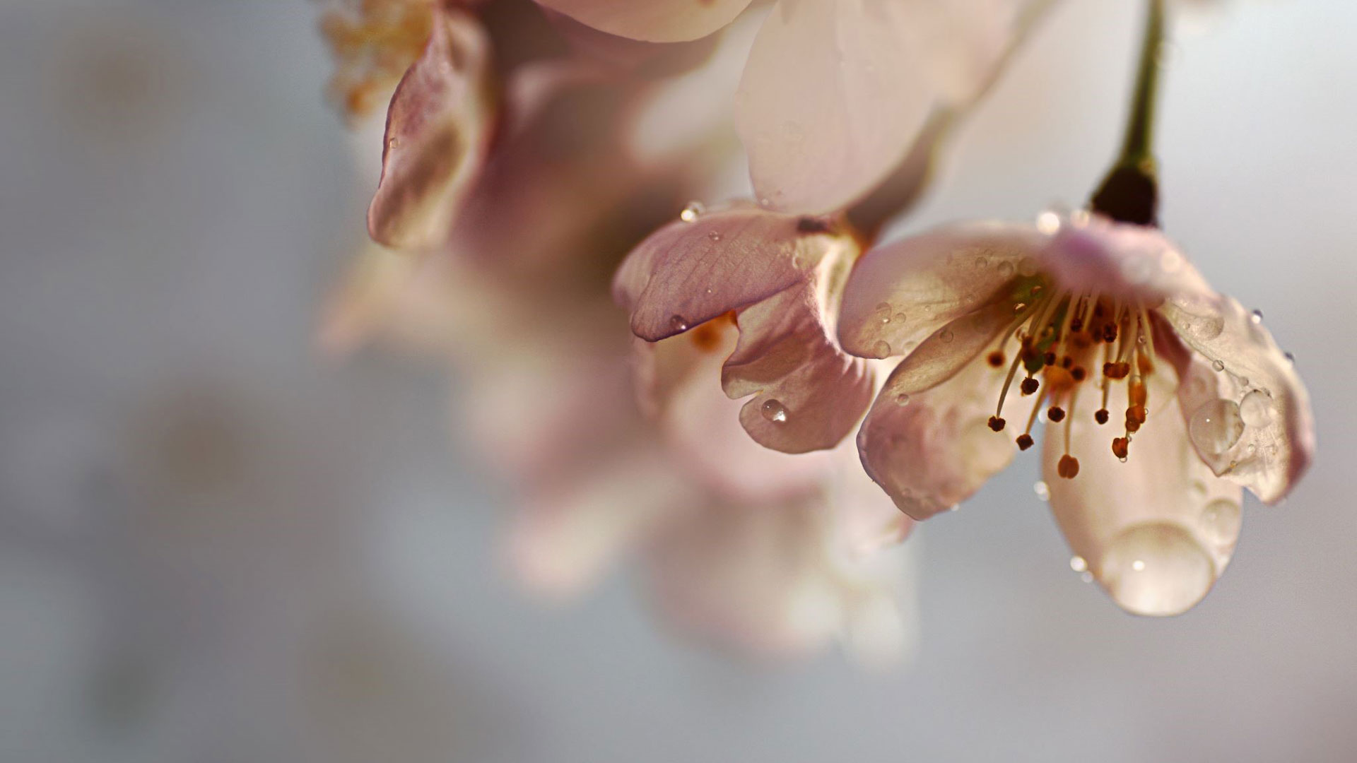 Launch of People First Newsletter - University of Huddersfield