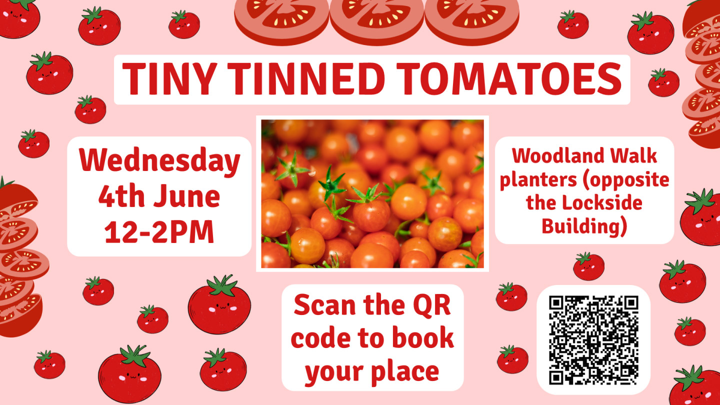 Tiny Tinned Tomatoes - University of Huddersfield