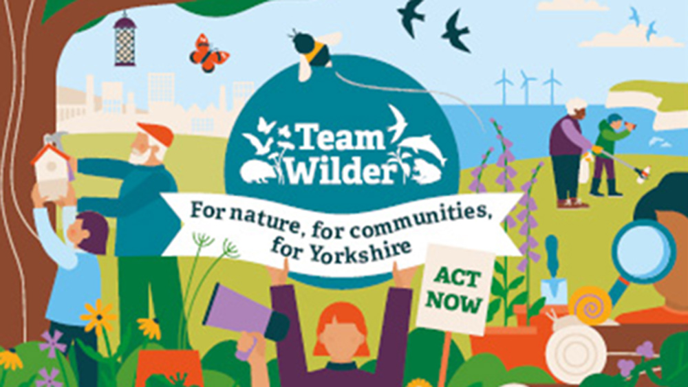 Yorkshire Wildlife Trust - University of Huddersfield